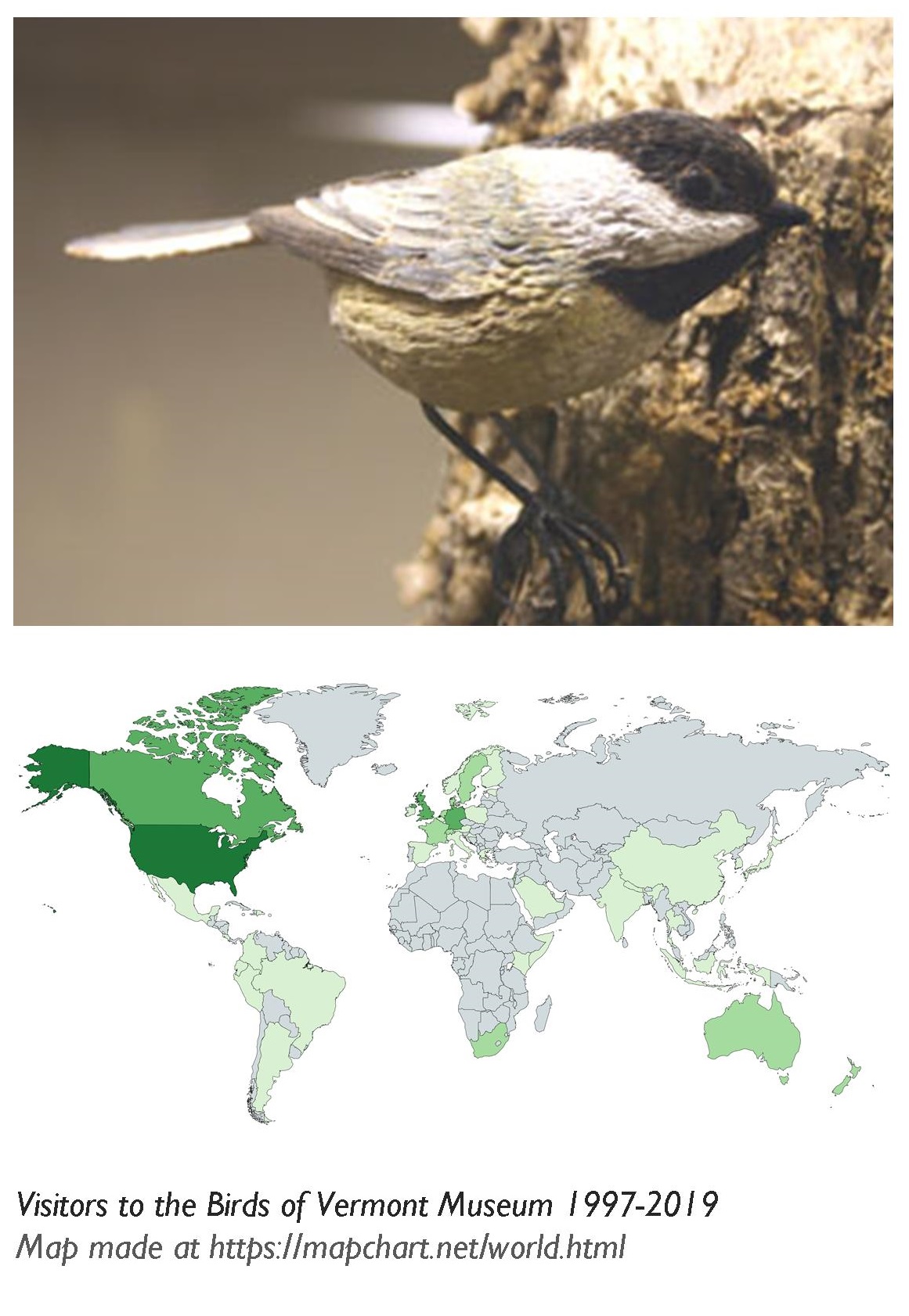 Signs of Support: 2019 Annual Appeal – Birds of Vermont Museum
