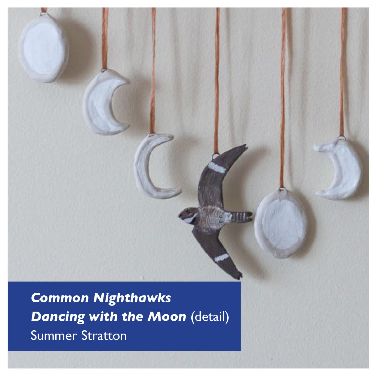 SStratton-Nighthawks-Dancing-Moon – Birds of Vermont Museum